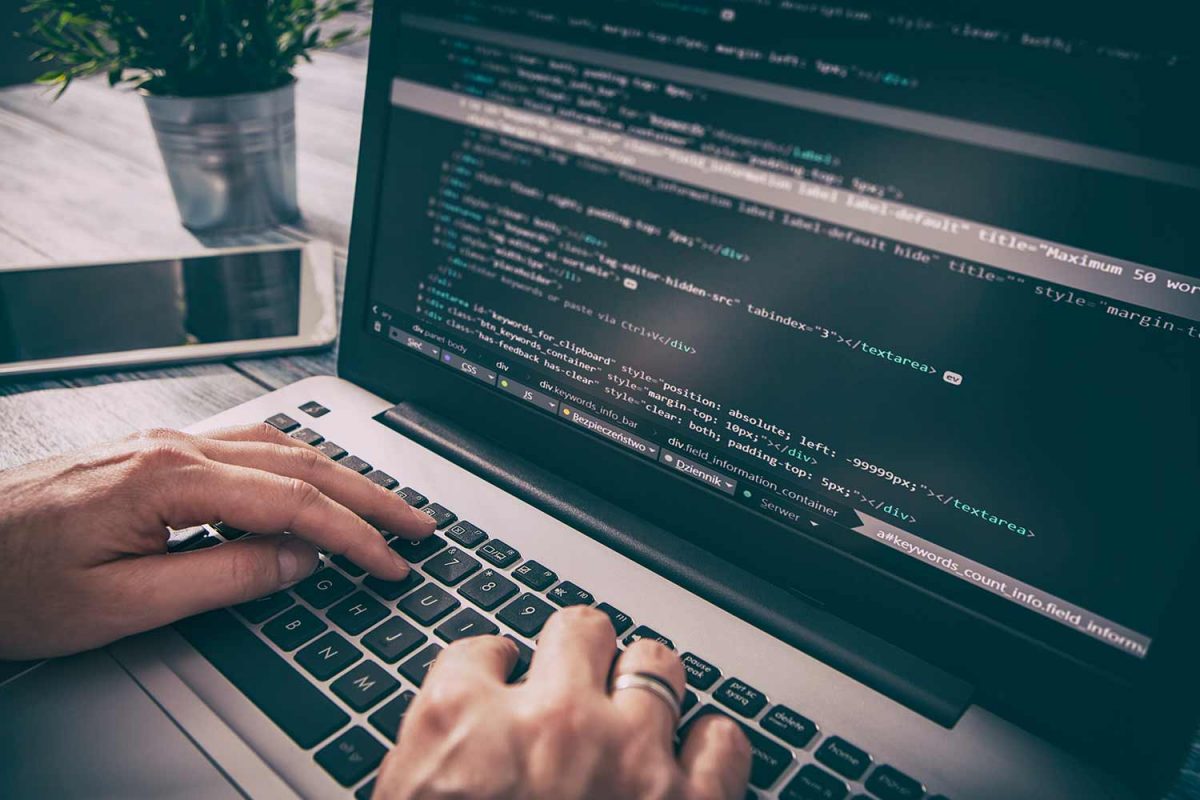 LOST IN THE WOODS OF PROGRAMMING LANGUAGES? - PROBEGIN LOST IN THE WOODS OF PROGRAMMING LANGUAGES? - PROBEGIN